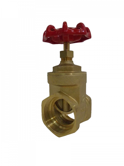 2" BSP BRASS GATE VALVE - Peel Pumps